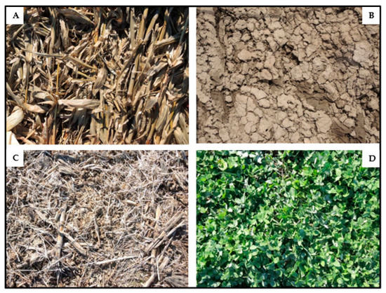 Assessing Soil Cover Levels during the Non-Growing Season Using ...
