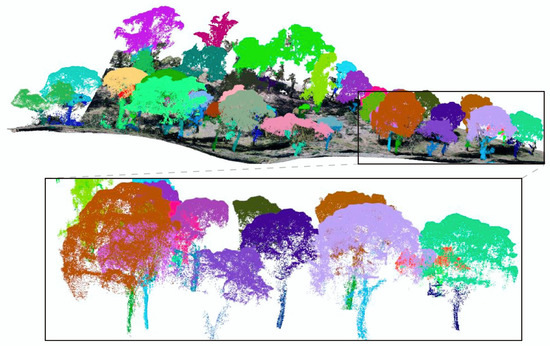 The Impact of Canopy Reflectance on the 3D Structure of Individual ...