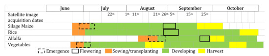 Remote Sensing Free Full Text Crop Mapping Using Random Forest And Particle Swarm