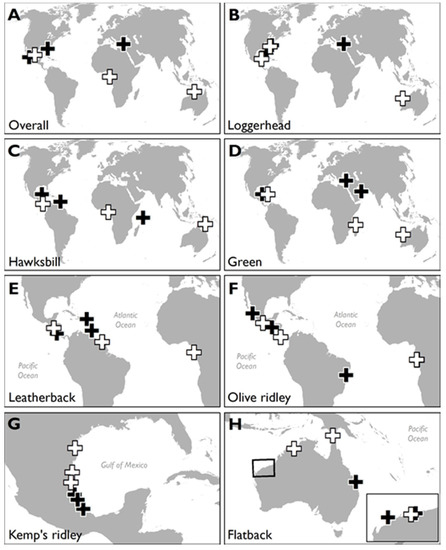 A Global Analysis of Anthropogenic Development of Marine Turtle Nesting ...