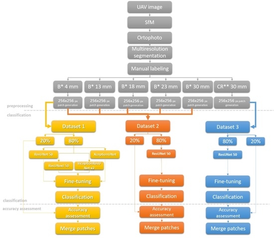 Remote Sensing | Free Full-Text | A Deep Learning Model for Automatic Plastic Mapping Using ...