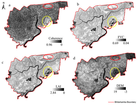 Canopy Height Estimation Using Sentinel Series Images through Machine Learning Models in a ...