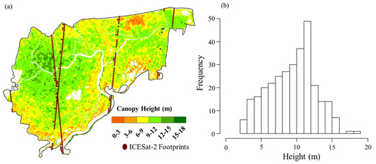 Canopy Height Estimation Using Sentinel Series Images Through Machine Learning Models In A