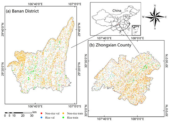 Mapping Rice Paddy Based On Machine Learning With Sentinel 2 Multi Temporal Data Model