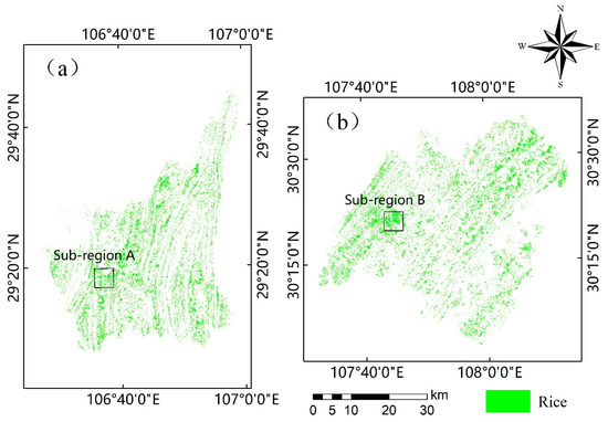Mapping Rice Paddy Based On Machine Learning With Sentinel 2 Multi Temporal Data Model