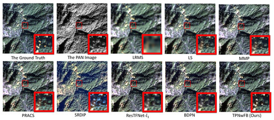 Two-Path Network with Feedback Connections for Pan-Sharpening in Remote ...