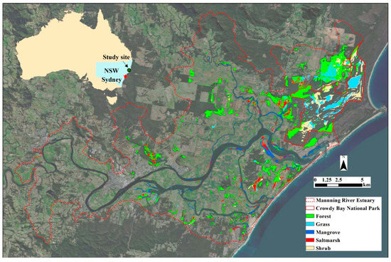 Coastal Wetland Mapping Using Ensemble Learning Algorithms: A Comparative Study of Bagging ...