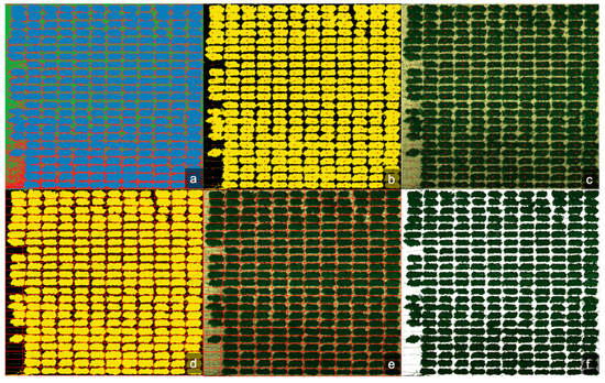 GRID: A Python Package for Field Plot Phenotyping Using Aerial Images
