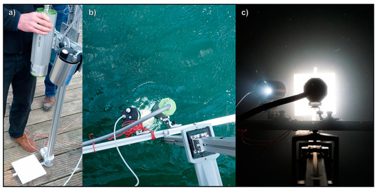 Remote Sensing | Free Full-Text | Underwater Use of a Hyperspectral ...