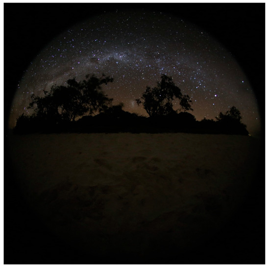 Quantifying the Impact of Light Pollution on Sea Turtle Nesting Using ...