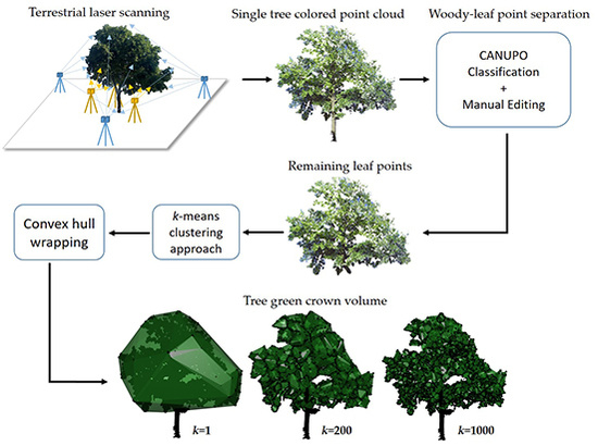 Remote Sensing | Free Full-Text | Towards Tree Green Crown Volume: A Methodological Approach ...