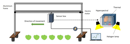 Remote Sensing | Special Issue : Crop Disease Detection Using Remote ...