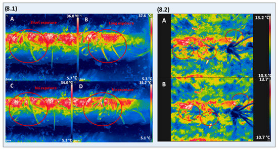 Remote Sensing | Special Issue : Crop Disease Detection Using Remote ... Remote Sensing | Special Issue : Crop Disease Detection Using Remote ...
