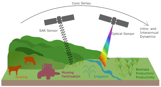 Remote Sensing of Grassland Production and Management—A Review