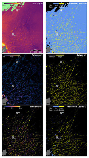 A New Algorithm for Daily Sea Ice Lead Identification in the Arctic and ...