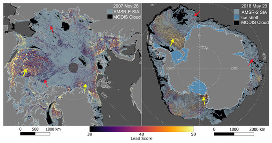 A New Algorithm for Daily Sea Ice Lead Identification in the Arctic and ...
