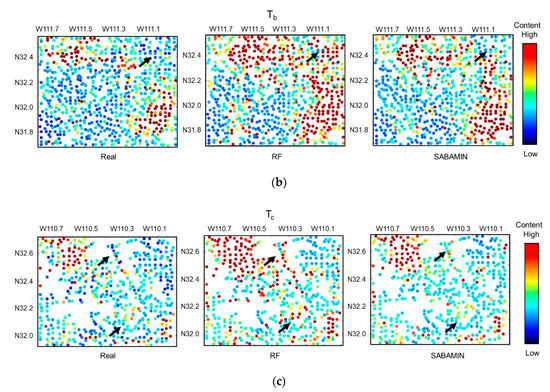 High Accuracy Geochemical Map Generation Method by a Spatial ...