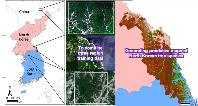 Remote Sensing Free Full Text Machine Learning For Tree Species Classification Using