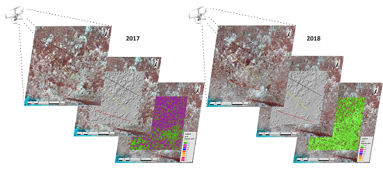 Remote Sensing | Free Full-Text | Multi-Temporal UAV Data and Object-Based Image Analysis (OBIA ...