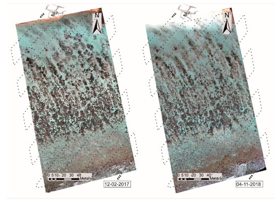 Multi-Temporal UAV Data and Object-Based Image Analysis (OBIA) for Estimation of Substrate ...