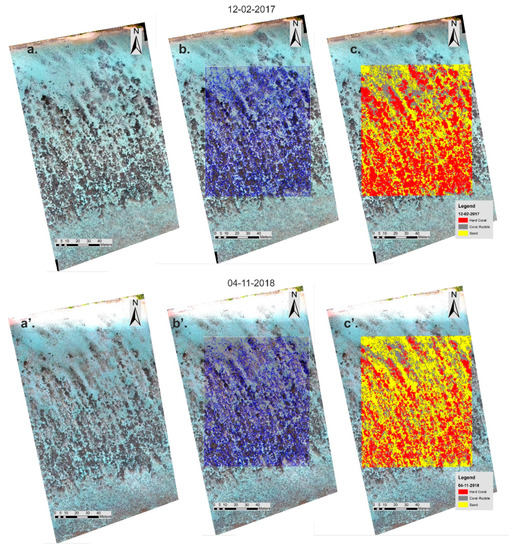 Multi-Temporal UAV Data and Object-Based Image Analysis (OBIA) for Estimation of Substrate ...