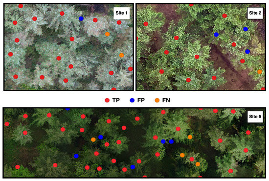 Remote Sensing | Special Issue : Individual Tree Detection and ...