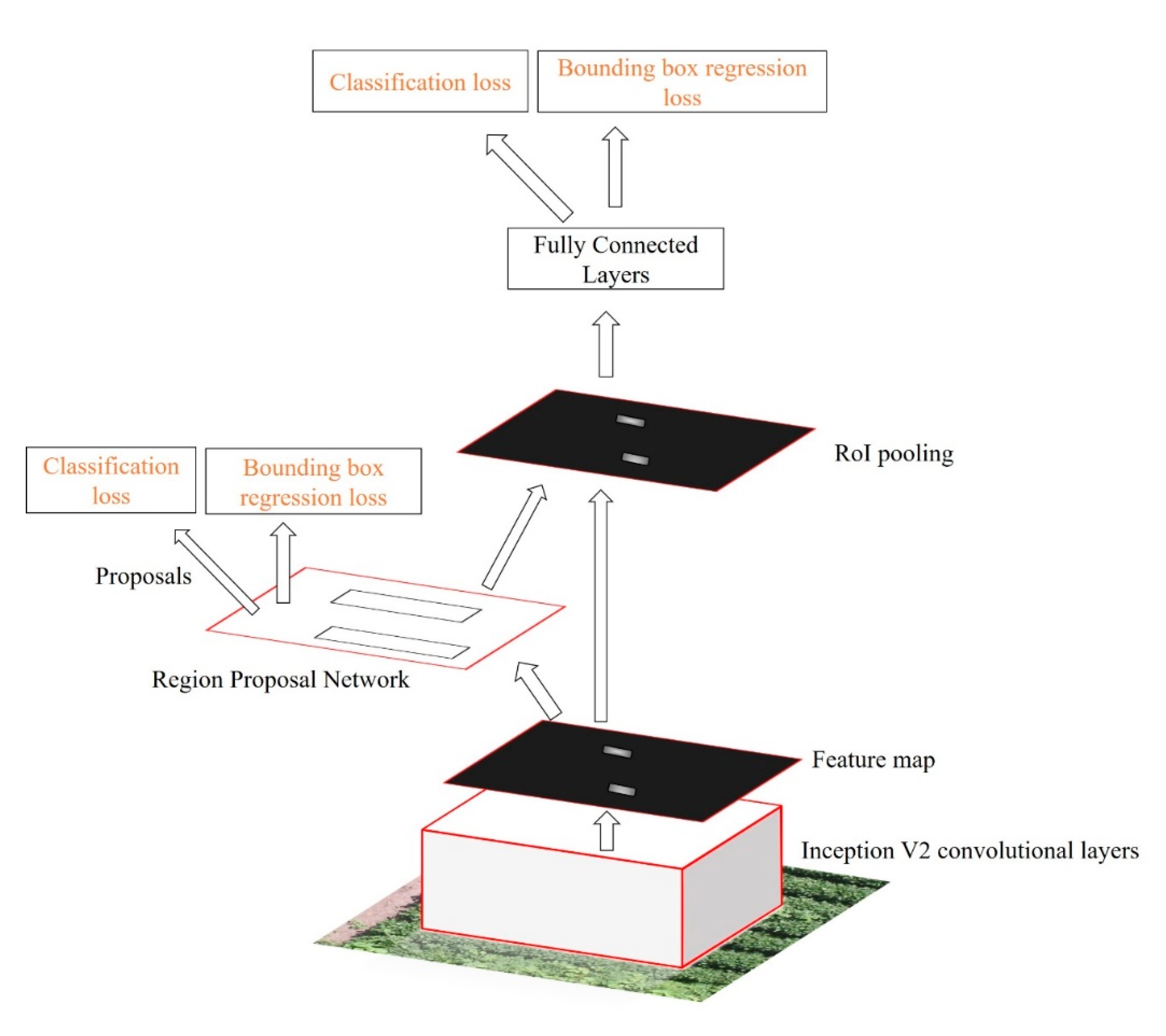 Comparison of Object Detection and Patch-Based Classification Deep Learning Models on Mid- to ...