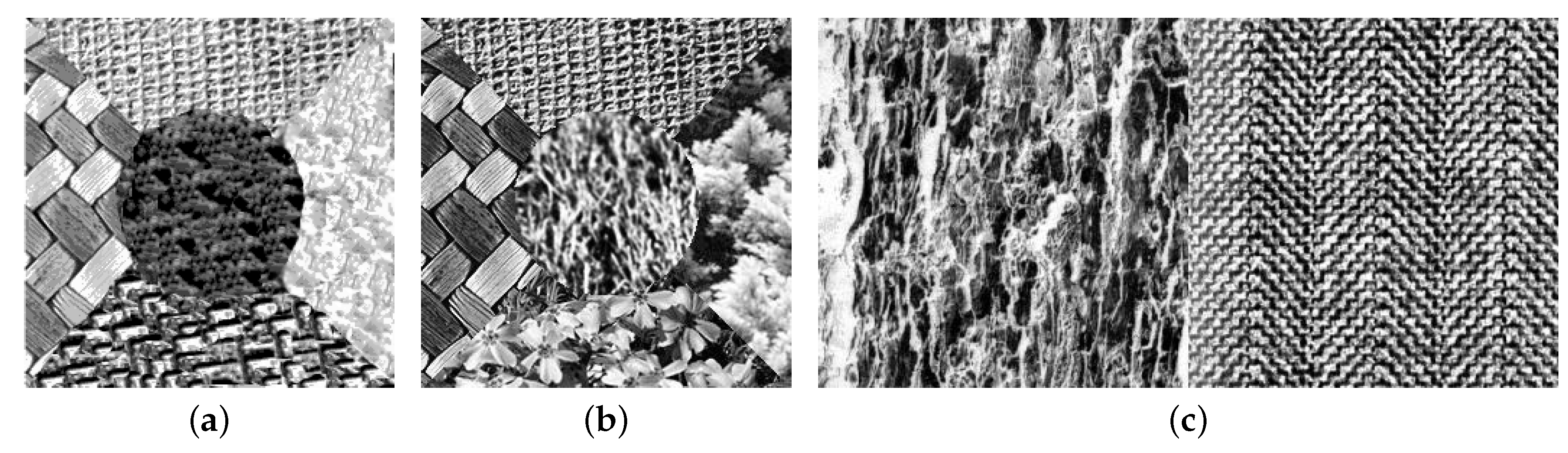 Remote Sensing | Free Full-Text | Semantic Segmentation for SAR Image Based on Texture ...