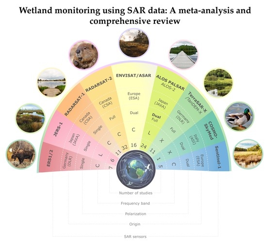 Remote Sensing | Free Full-Text | Wetland Monitoring Using SAR Data: A Meta-Analysis and ...