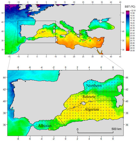 SST Comparison of AVHRR and MODIS Time Series in the Western ...