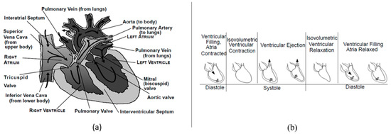 Radar-Based Non-Contact Continuous Identity Authentication