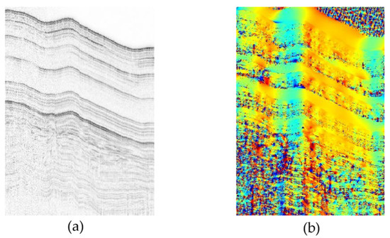 A Non-Local Low-Rank Algorithm for Sub-Bottom Profile Sonar Image Denoising