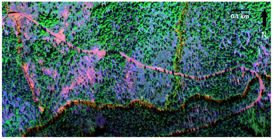 Remote Sensing | Special Issue : Monitoring Forest Change with Remote ...