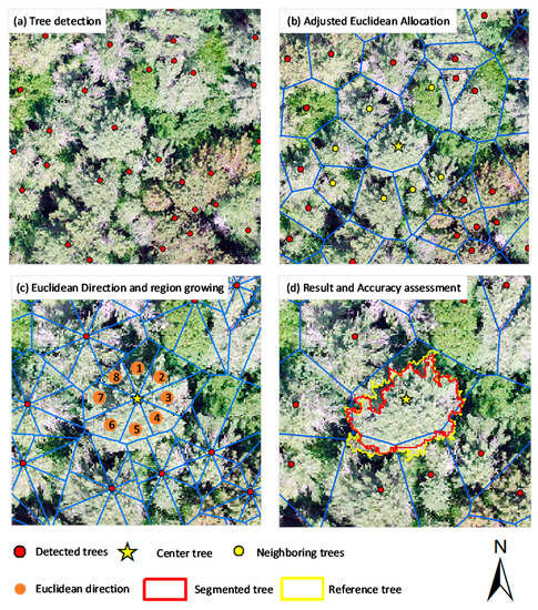 Remote Sensing | Free Full-Text | Individual Tree Crown Delineation ...