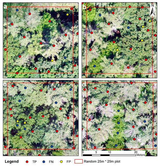 Remote Sensing | Free Full-Text | Individual Tree Crown Delineation from UAS Imagery Based on ...