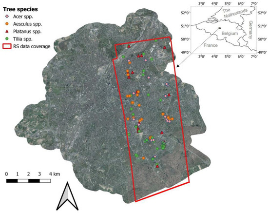 Urban Tree Health Classification Across Tree Species by Combining ...