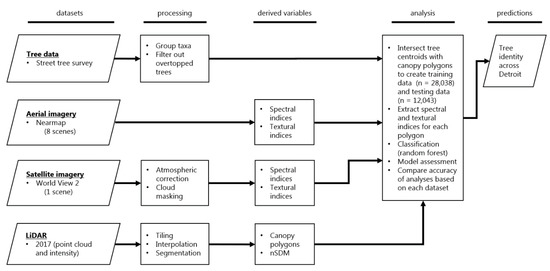 Improved Classification of Urban Trees Using a Widespread Multi ...