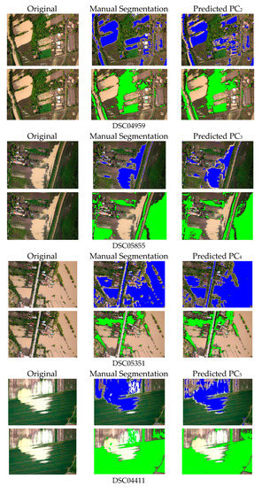 Segmentation of Vegetation and Flood from Aerial Images Based on ...