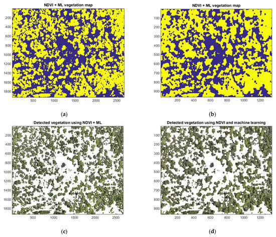 Vegetation Detection Using Deep Learning and Conventional Methods