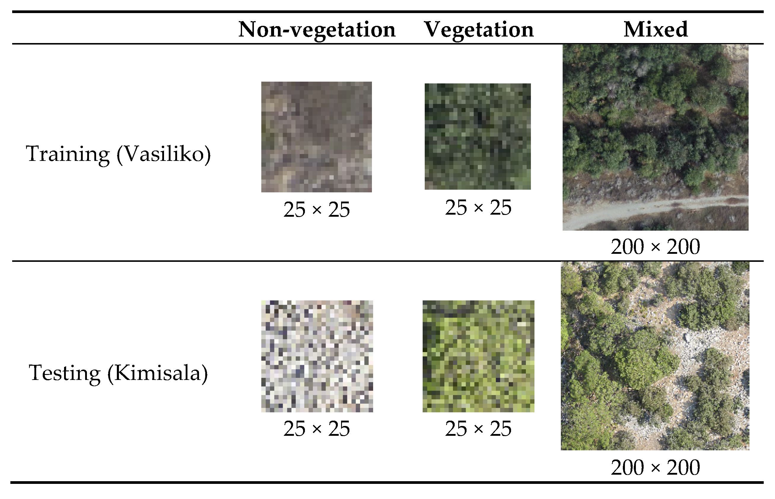 Vegetation Detection Using Deep Learning and Conventional Methods