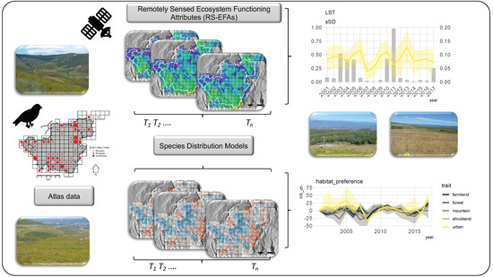 Remote Sensing | Free Full-Text | Model-Assisted Bird Monitoring Based ...