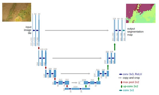 Drone Image Segmentation Using Machine and Deep Learning for Mapping Raised Bog Vegetation ...