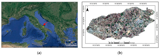 Remote Sensing | Free Full-Text | SAR Sentinel 1 Imaging and Detection ...