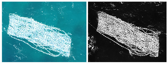 Investigating Detection of Floating Plastic Litter from Space Using ...