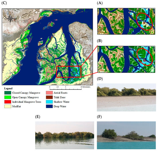 Remote Sensing | Free Full-Text | Land Cover Classification in Mangrove ...