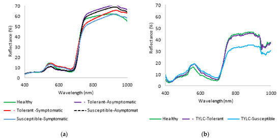 Laboratory and UAV-Based Identification and Classification of Tomato ...