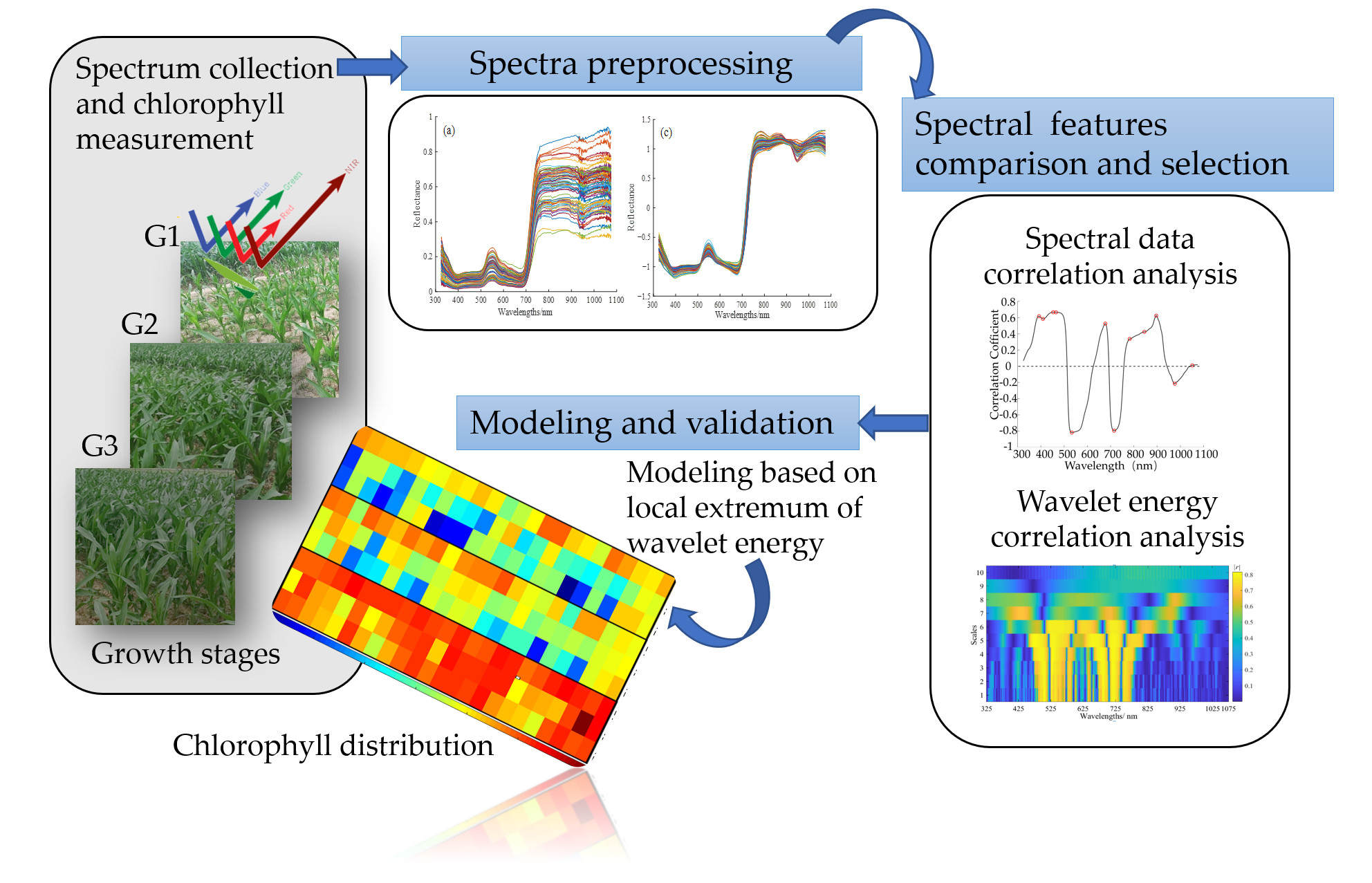 Remote Sensing | Free Full-Text | Detection of Canopy Chlorophyll ...