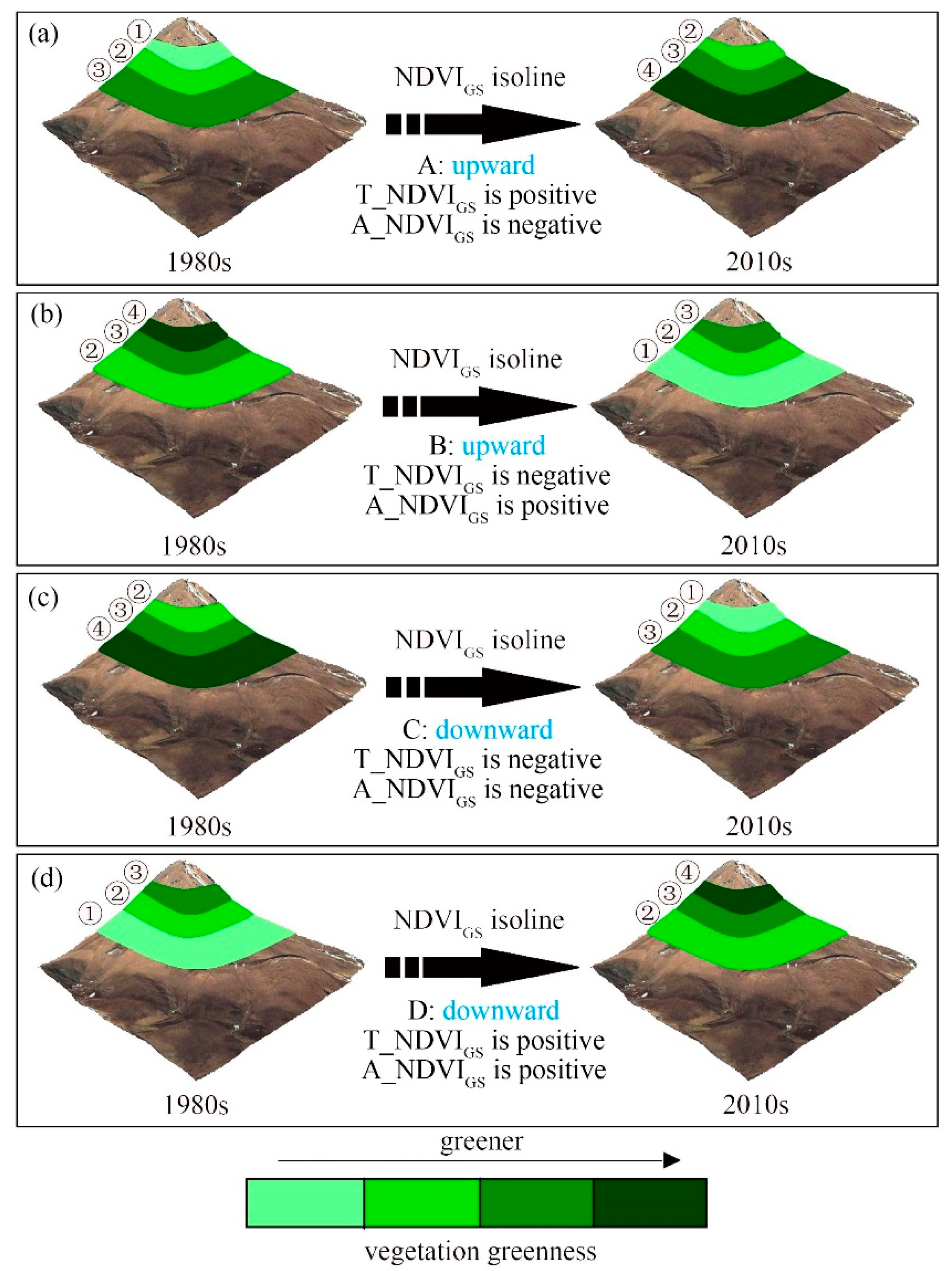 Contrasting Effects of Temperature and Precipitation on Vegetation ...