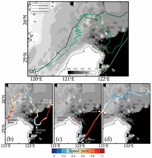 Diurnal to Seasonal Variations in Ocean Chlorophyll and Ocean Currents ...