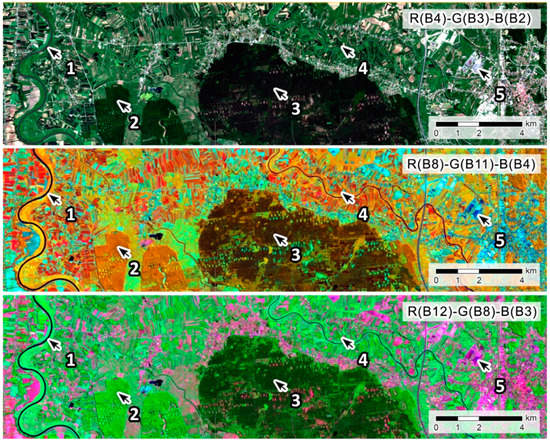 Remote Sensing | Free Full-Text | Interdisciplinary Teaching Using ...